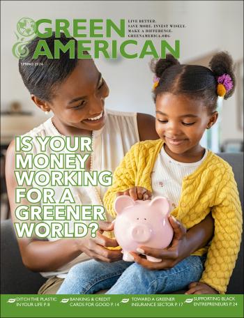 Green America - GuideStar Profile