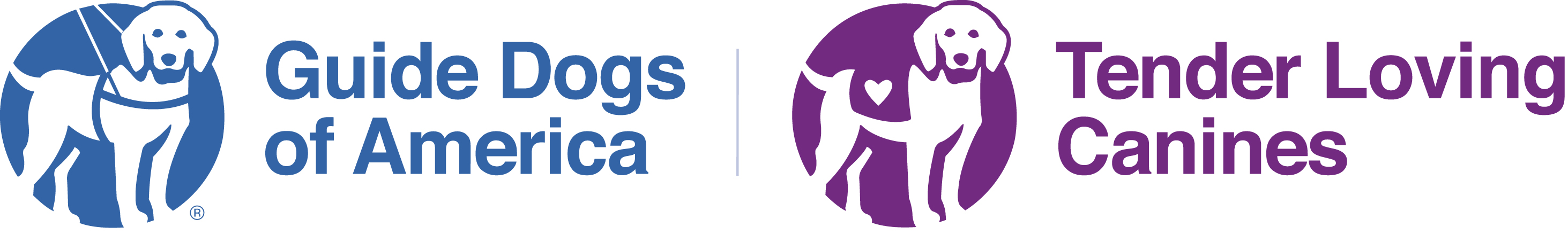 GUIDE DOGS OF AMERICA (International Guiding Eyes, Inc.) - GuideStar ...