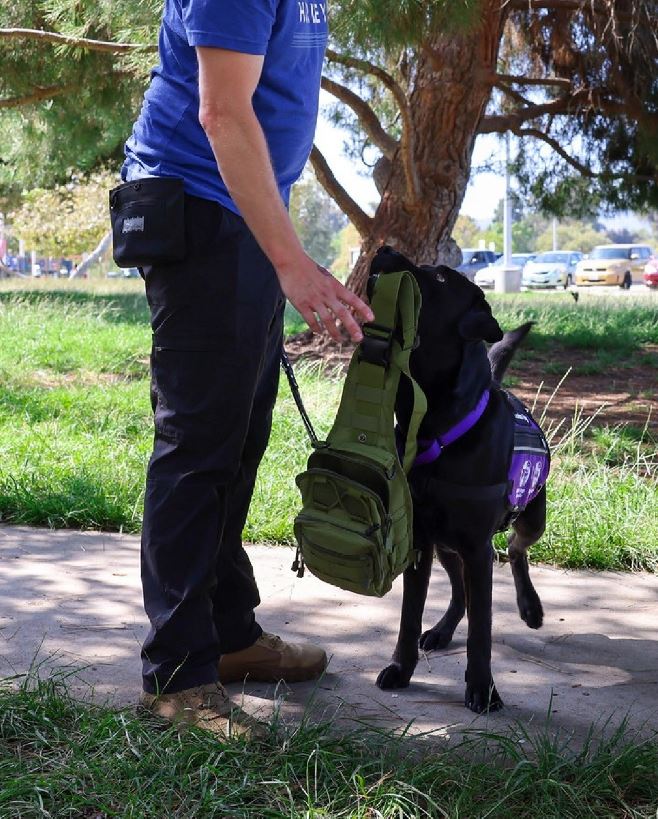 GUIDE DOGS OF AMERICA (International Guiding Eyes, Inc.) - GuideStar ...