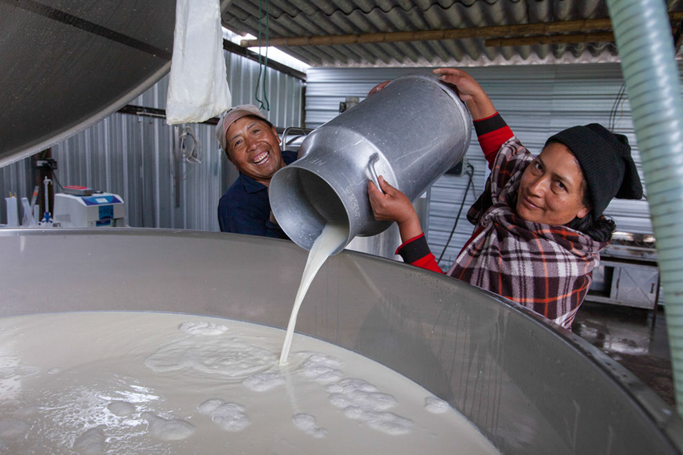 Heifer Project International - GuideStar Profile