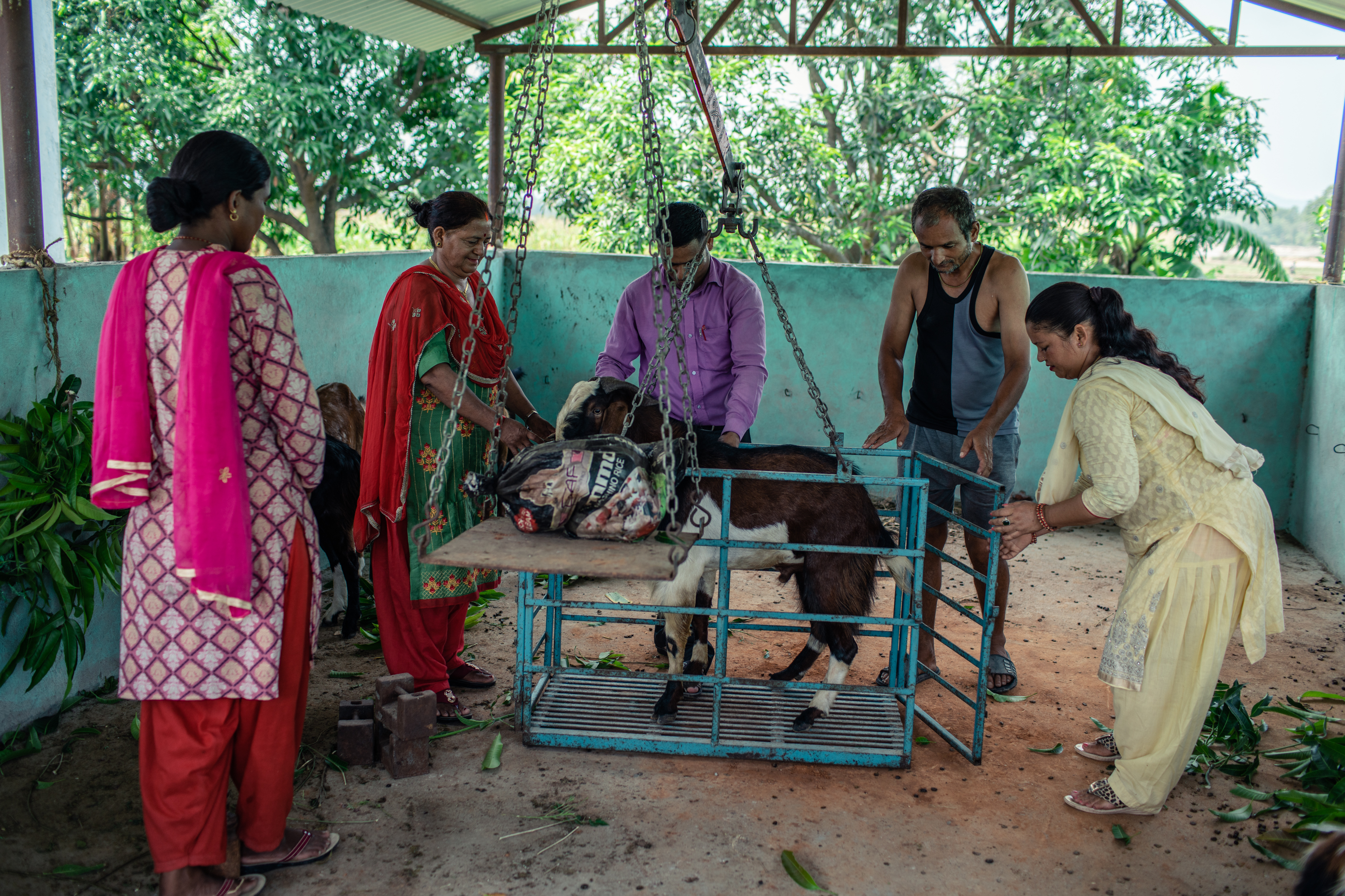 Heifer Project International - GuideStar Profile