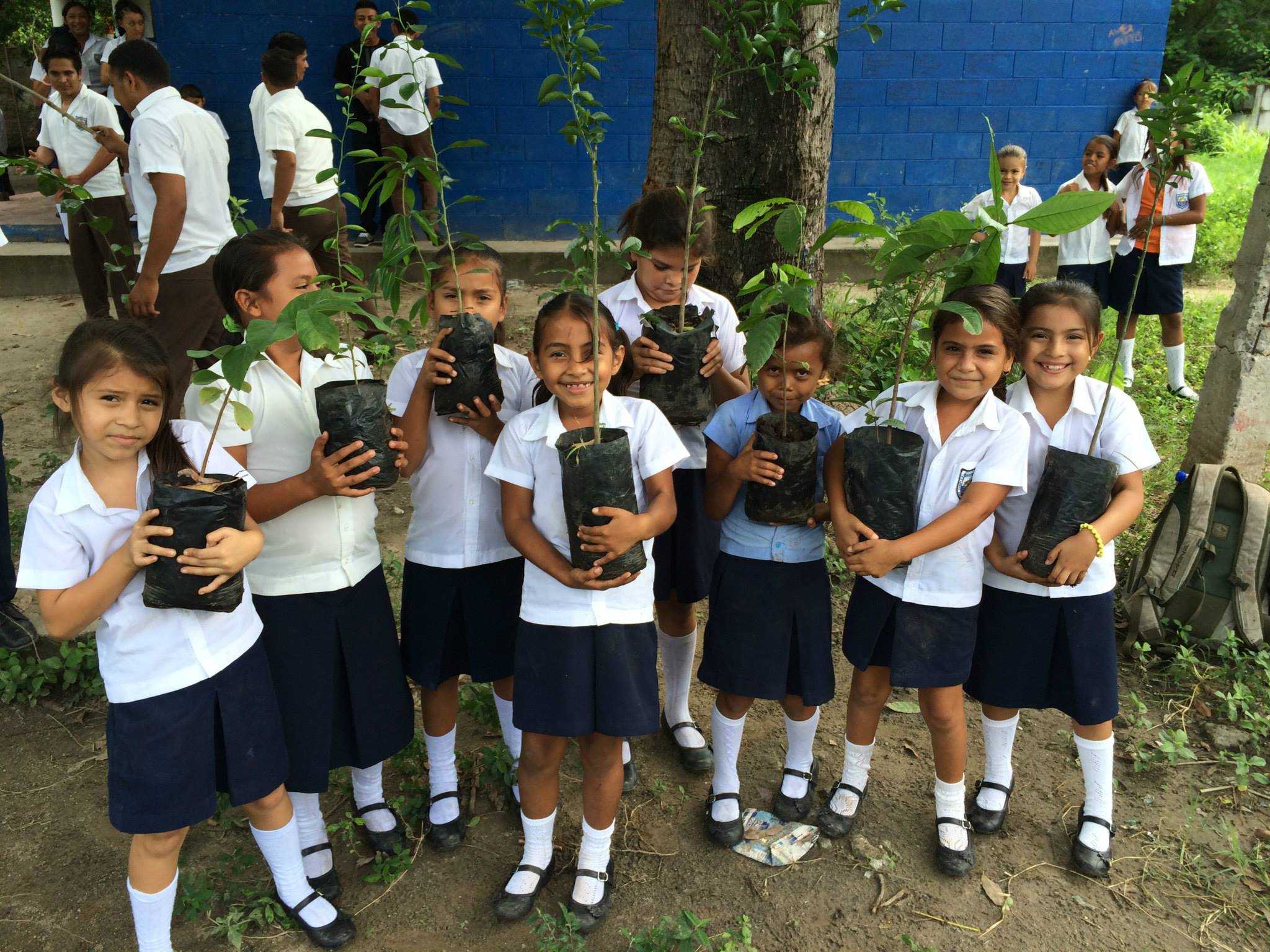 The Fruit Tree Planting Foundation - GuideStar Profile
