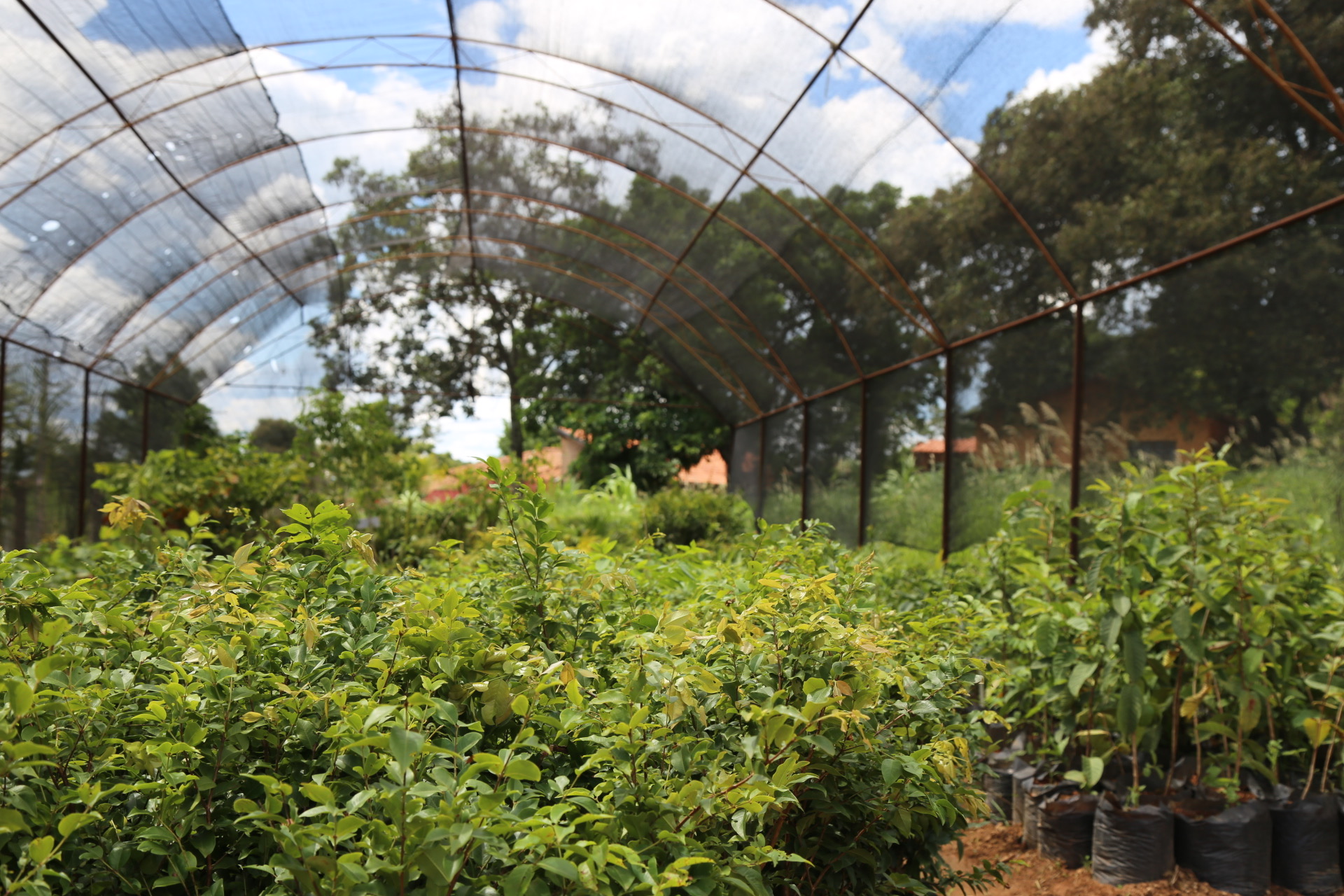 The Fruit Tree Planting Foundation - GuideStar Profile