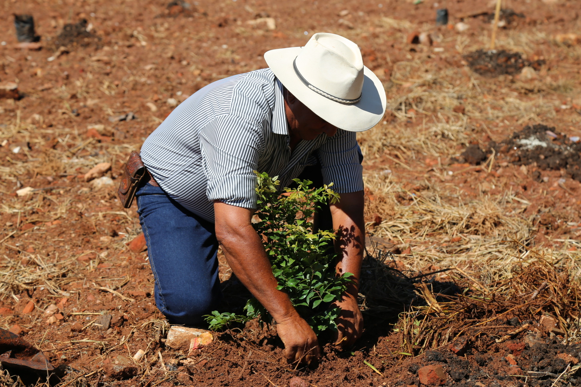 The Fruit Tree Planting Foundation - GuideStar Profile