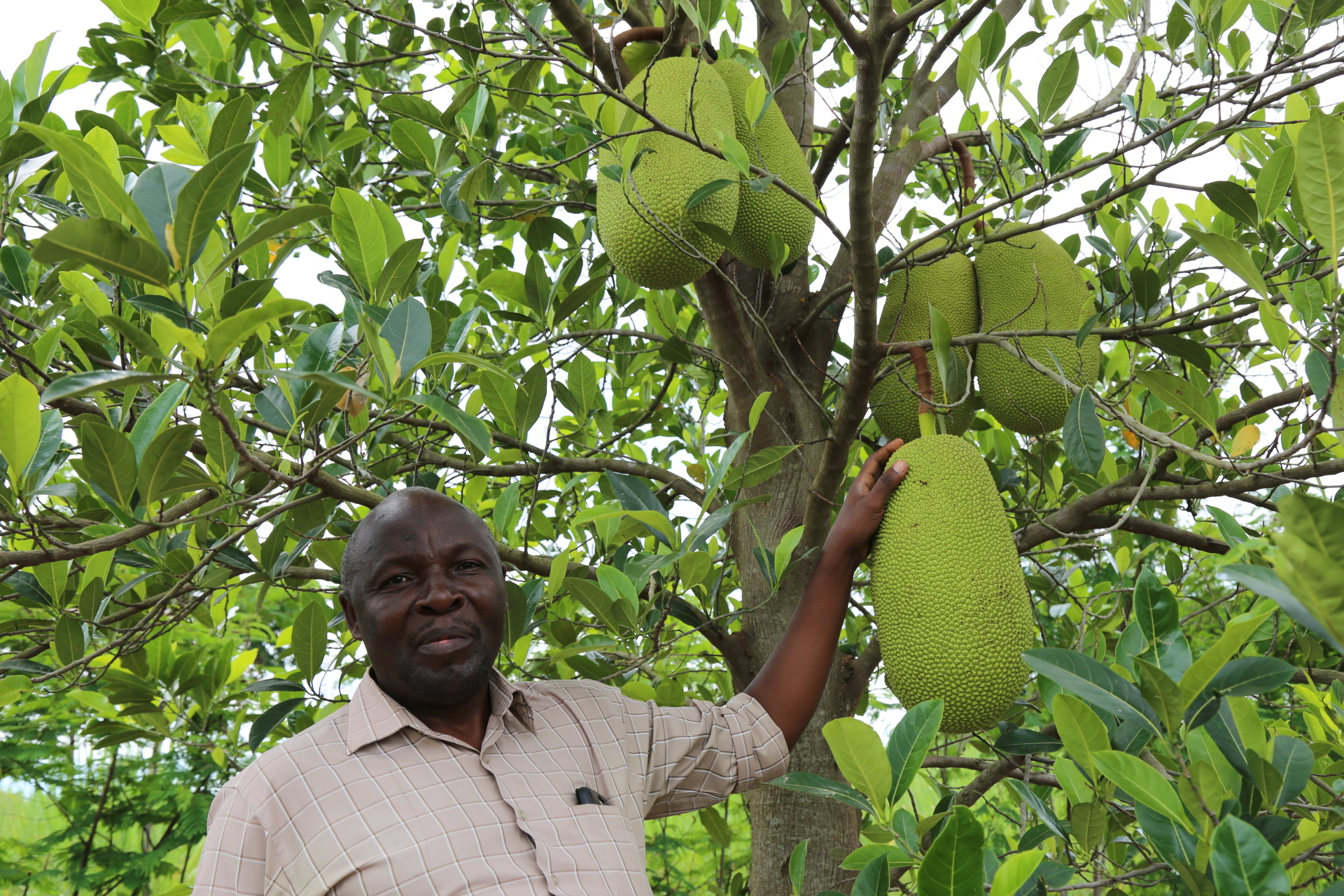 The Fruit Tree Planting Foundation - GuideStar Profile