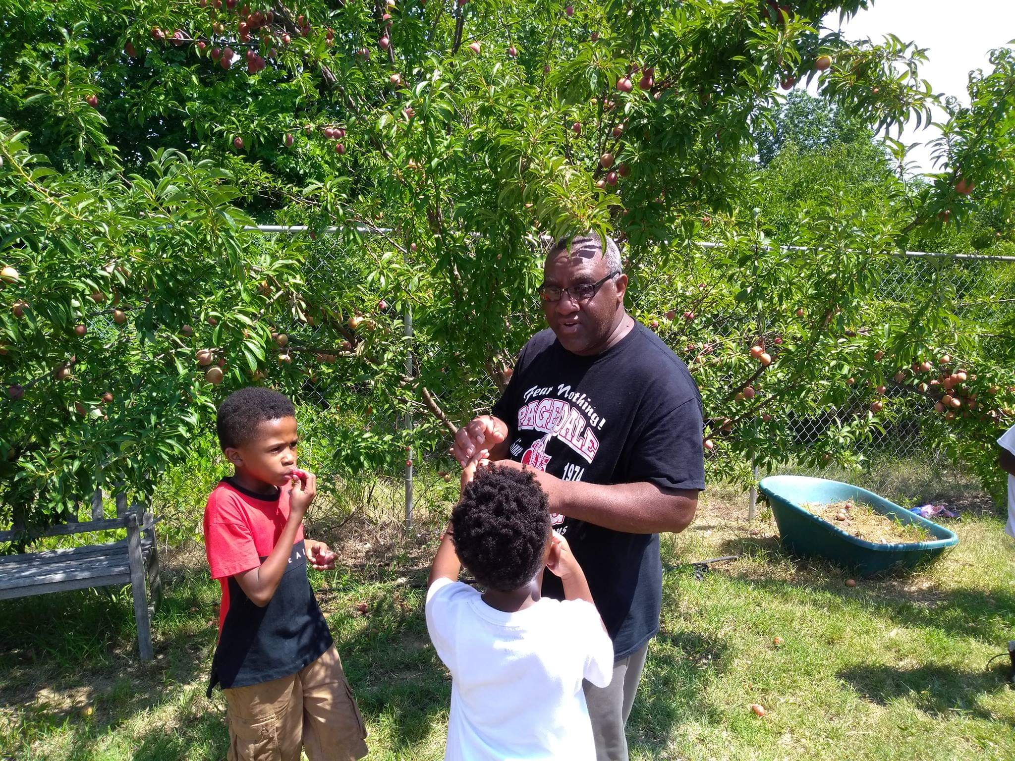 The Fruit Tree Planting Foundation - GuideStar Profile