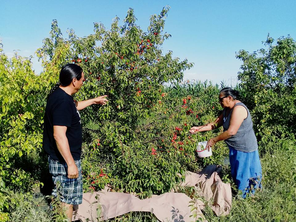 The Fruit Tree Planting Foundation - GuideStar Profile