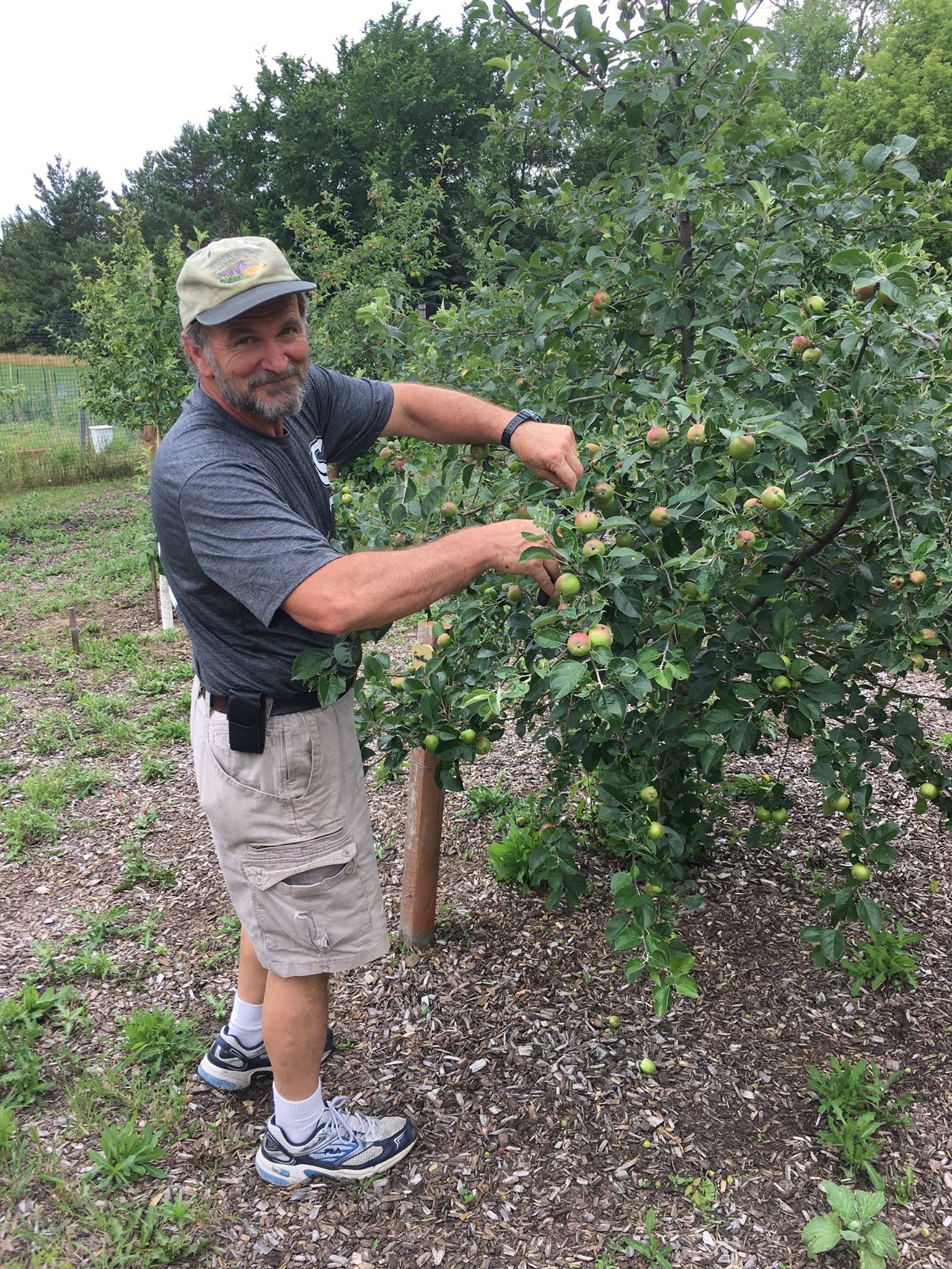 The Fruit Tree Planting Foundation - GuideStar Profile